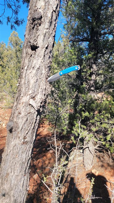 Msk 1 Mini Edge Ultimate Survival Tips