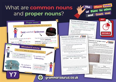 Year 7 The Place Value Of Punctuation And Grammar What Are Common Nouns And Proper Nouns