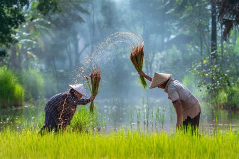HOME Alluring Asia