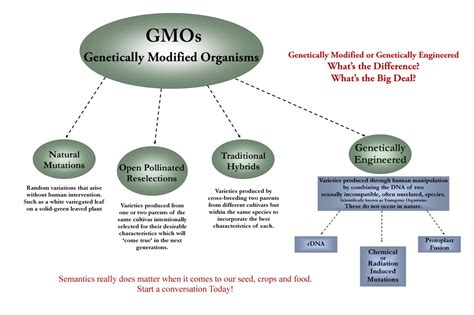 What Does Gmo Really Mean For Home Gardeners Pegplant