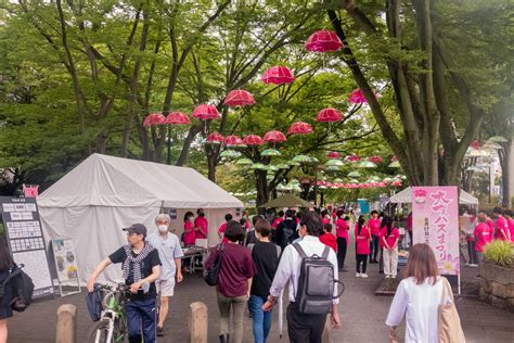 いよいよyohas 2023 本祭 1日目がスタートしました♪ Yohas 夜ハス／大賀ハスまつり夜の部 千葉公園