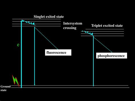 Chapter 3 Photosynthesis Ppt Download