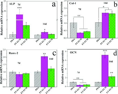 Rt Pcr Results Ad Alp Col I Runx 2 And Ocn Expression In Bmscs Download Scientific