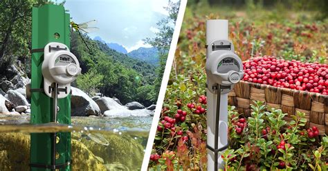 Elfin Posted On Linkedin