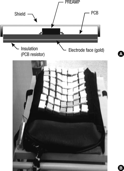 Posterior Body Surface Potential Mapping P Bspm System A Geometry Download Scientific