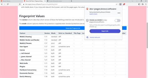 Screen Fingerprinting Protection Is Applied To Extensions Pages · Issue 26715 · Bravebrave