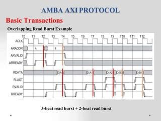 Ambaaxi Protocol Basic Information Presentaion PPTX
