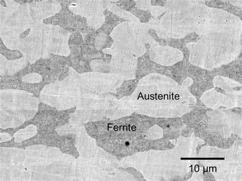 Sem Image Showing The Dual Phase Microstructure Of 2205 Duplex