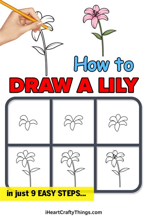 Lily Drawing How To Draw A Lily Step By Step