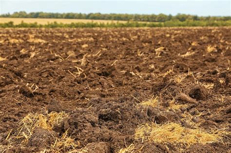 Premium Photo Plowed Field After Harvest