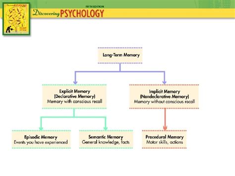 Chapter 6 Memory Stage Model Of Memory Chapter 6 Memory Stage Model Of Memory