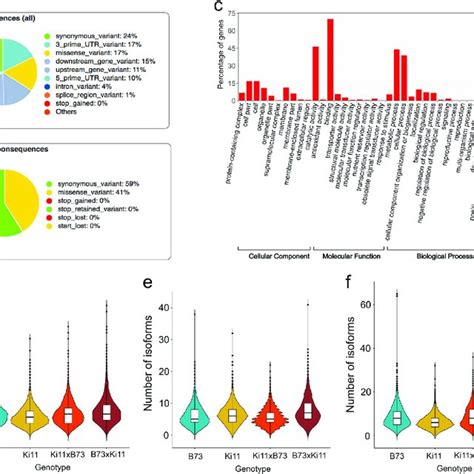 Full Length Transcript Sequencing Workflow Full Length Transcript Data
