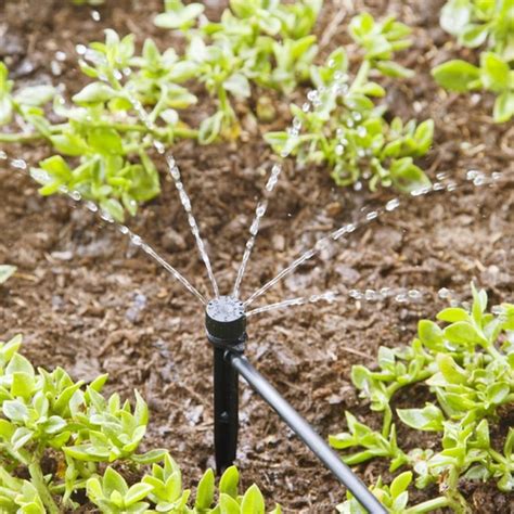 Raindrip Half Circle Drip Irrigation Bubbler 20 Gph 1 Pk In The Drip