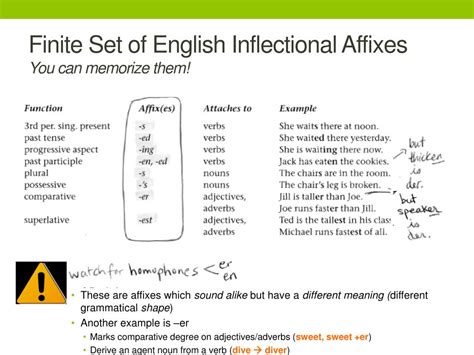 Ppt Linguistic Preliminaries Part Ii Intro To Morphosyntax Powerpoint Presentation Id 1400910