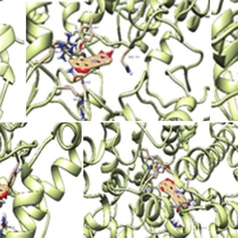 Molecular Docking Interaction Between Cyclooxygenase 2 Protein Pdb