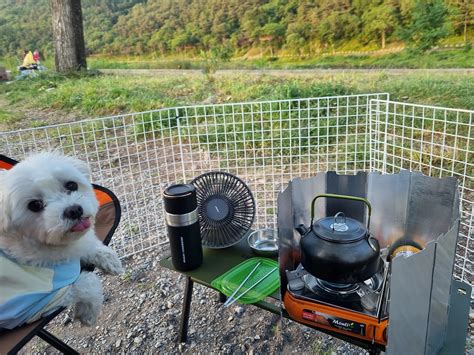 차박용품 어디까지 사면 끝날까요