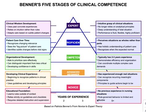 From Novice To Expert Patricia Benner Nursing Theory Nursing Expertise