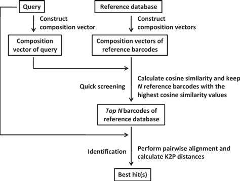 Vector Based Software At Collection Of Vector Based