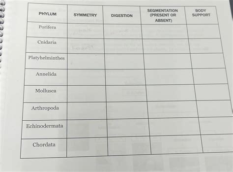 Solved Please Help Segmentation Body Phylum Symmetry Digestion