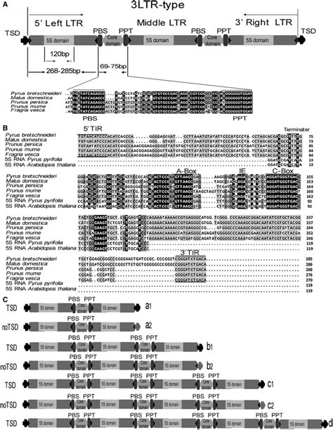 Schematic Of Cassandra Element And Various Structure Patterns Of Download Scientific Diagram Schematic Of Cassandra Element And Various Structure Patterns Of Download Scientific Diagram