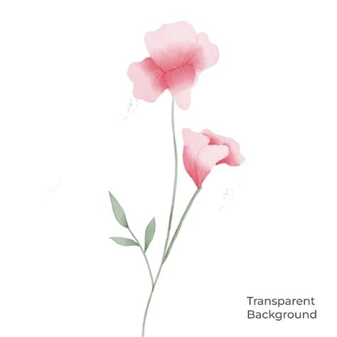 Premium PSD Illustration Of Flower Watercolor Transparent Background