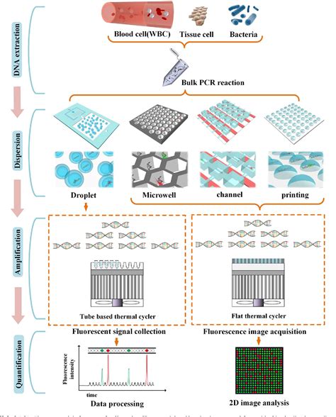 Table 1 From Advances In Digital Polymerase Chain Reaction Dpcr And Its Emerging Biomedical