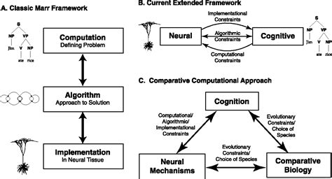 Figure 1 From Toward A Computational Framework For Cognitive Biology Unifying Approaches From