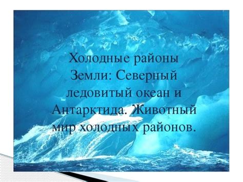 Презентация по окружающему миру 1 класс Животный мир холодных районов Земли