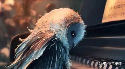 30个精品python练手项目，推荐给缺少python项目实战经验的人，实践出真知~ 知乎