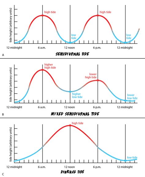 Semidiurnal Tide Graph