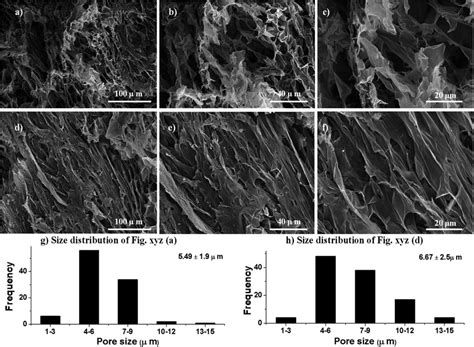 Scanning Electron Micrographs Of Transverse A C And Longitudinal Download Scientific Diagram