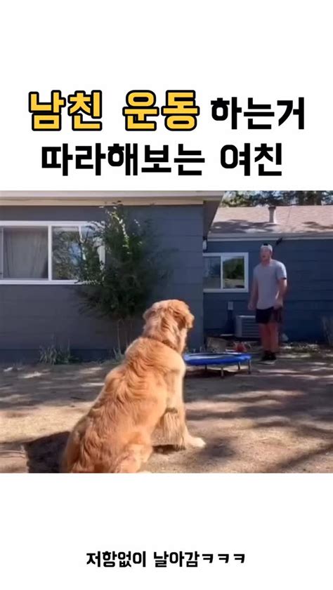 뜨리핏1 뭐 다시말해봐 아무거나 먹자고 🤨 아무거나먹자 여친 남친 다시말해봐 노센스 표정으로말하기 눈으로욕하는중 성의가없네 행복영상