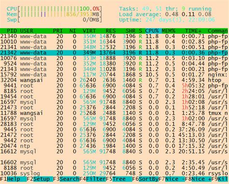 Php Nginx 网站并发压力测试及优化php 测试最大连接数 Csdn博客