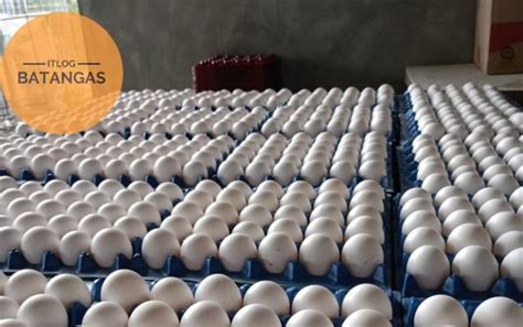 Alin Ang Nauna Itlog O Manok Pilipino Mirror