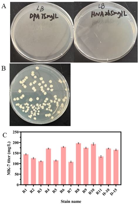 Synergistic Optimization Of Bacillus Subtilis For Efficiently Producing Menaquinone 7 Mk 7 By