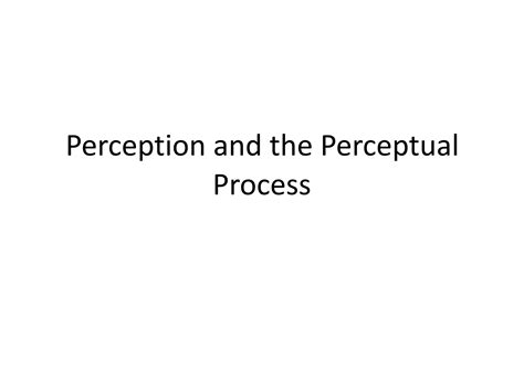 · Perception And The Perceptual Process 2023 Pdf