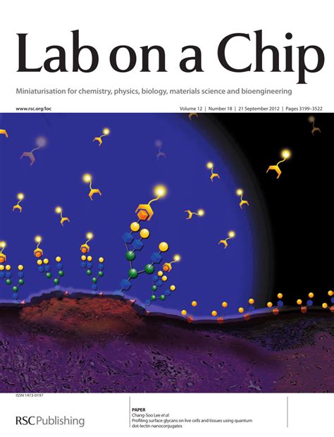 Pdf Profiling Surface Glycans On Live Cells And Tissues Using Quantum Dot Lectin Nanoconjugates