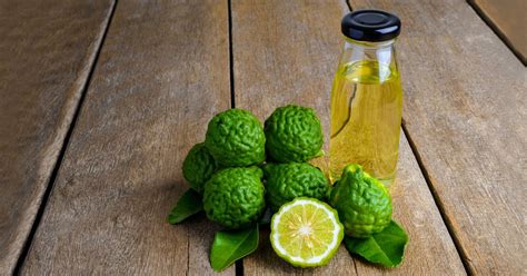 Bergamot Oil Uses And Benefits