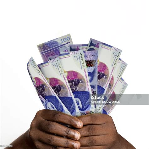 3d로 렌더링된 조지아어 라리 노트를 들고 있는 검은 손 그루지야 화폐 지폐를 들고 있는 손의 근접 촬영 가나에 대한 스톡 사진 및 기타 이미지 Istock