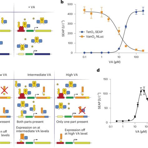 Higher Order Signal Processing Logic Circuits Based On Va A Schematic