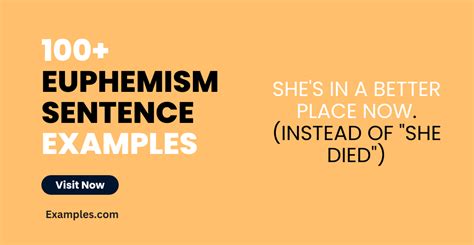 99 Euphemism Sentence Examples
