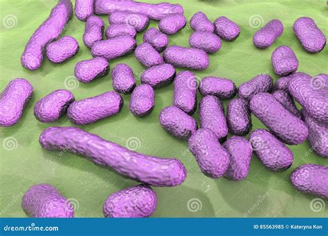 Bacterium Acinetobacter Baumannii Stock Illustration Illustration Of Biology Hospitalacquired