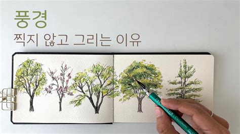 풍경을 그리는 이유 수채 펜화 펜으로 나무그리기 Youtube