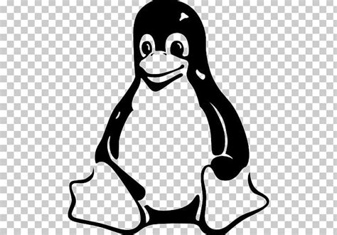 Tux Racer Linux PNG Clipart Artwork Beak Bird Black And White Bmp File Format Free PNG
