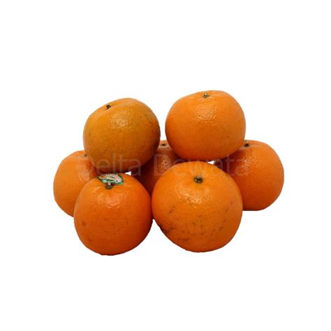 Jeruk Kino Delta Dewata Online