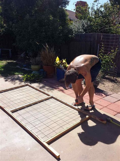 How To Build A Trellis Inexpensive Easy Designs Homestead And Chill