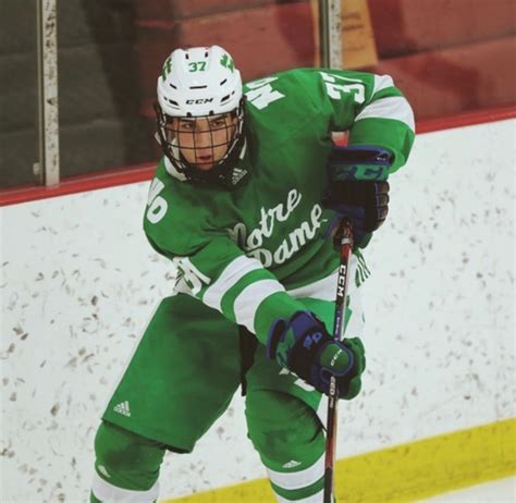 Michael Mcintee The Tritonian