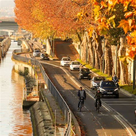 Passeio De Lazer 가을 가을 색 강변 건강한 삶 경치 경치 좋은 길 계절 공원 도로 교통 나무 단풍 도로 도로 안전 도시 교통 도시