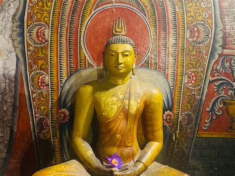 Buddika 2025 All You Need To Know Before You Go With Reviews