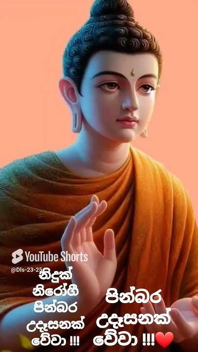 🙏🙏🙏🌼🌼🌼 සුබ උදෑසනක් වේවා අනන්ත වූ බුදුගුණ බලයෙන් රෝග බිය දුරු වේවා Youtube